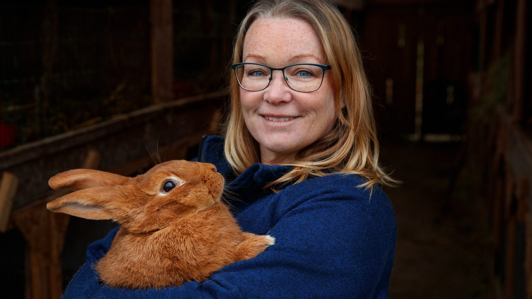 Kan man äta kanin? – Magasinet Filter